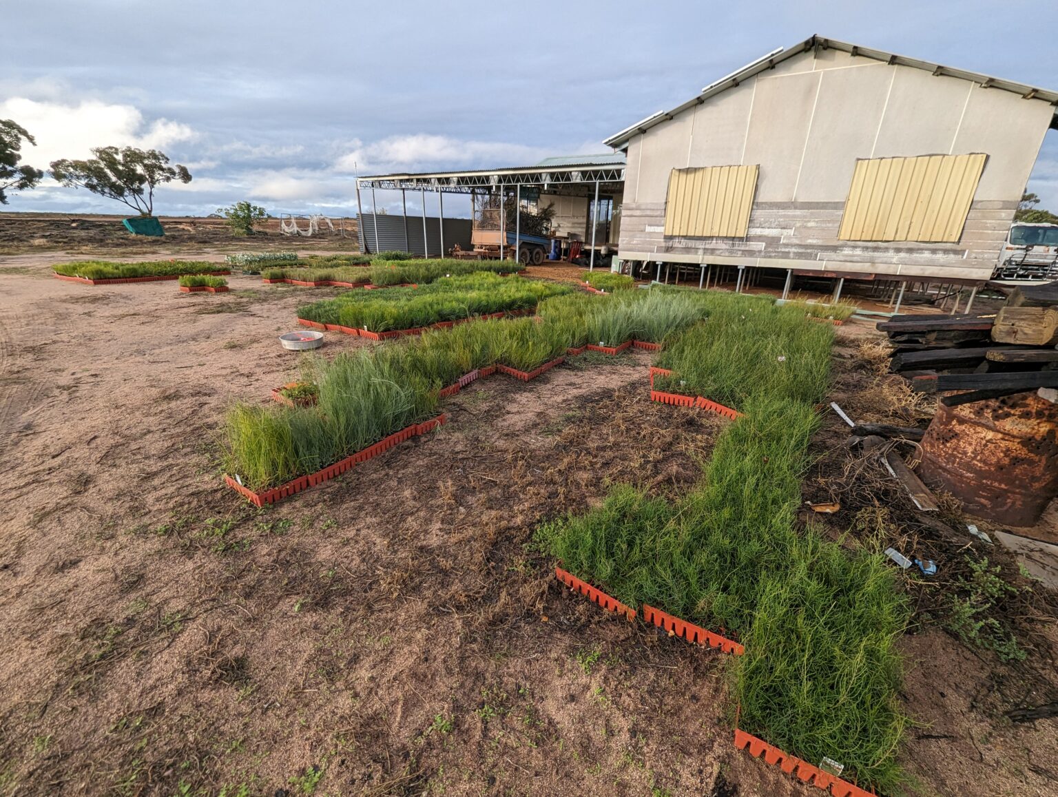 Bush Blocks Guardians Inc.